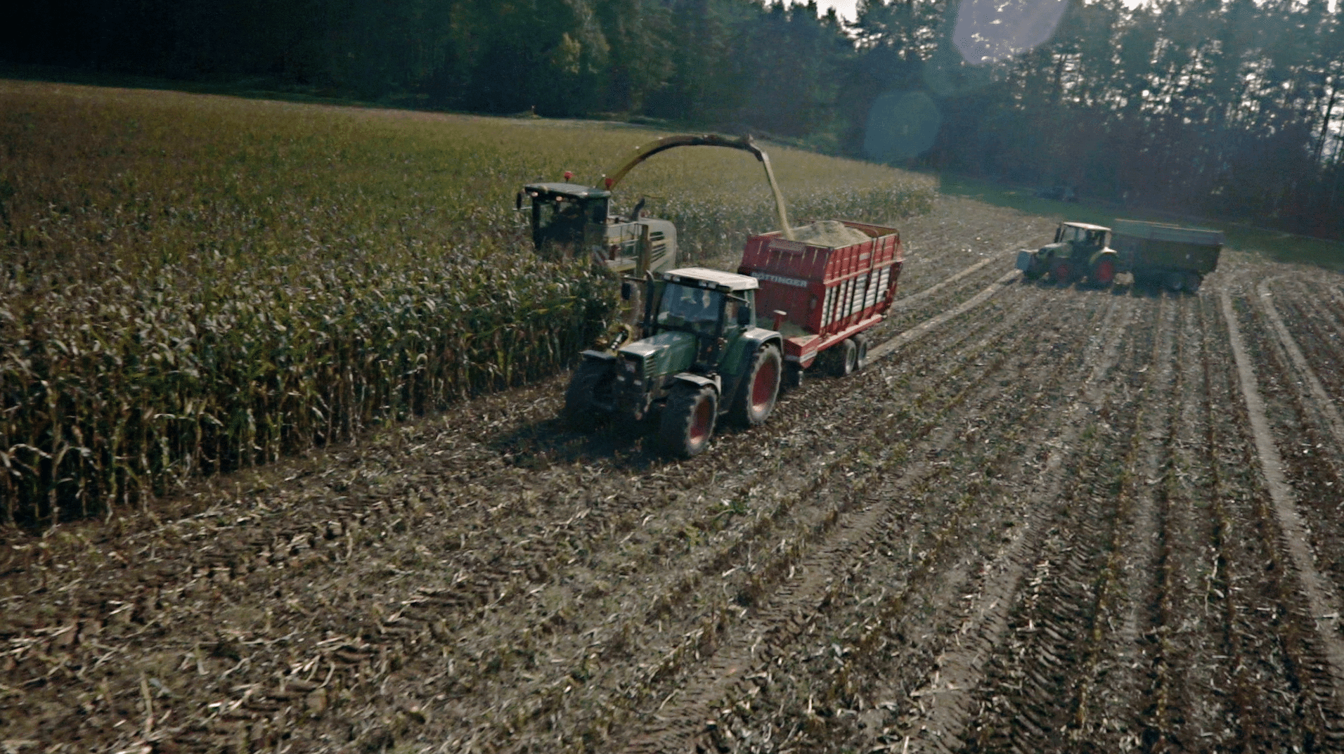 harvester - Texas Refinery Of Canada Limited